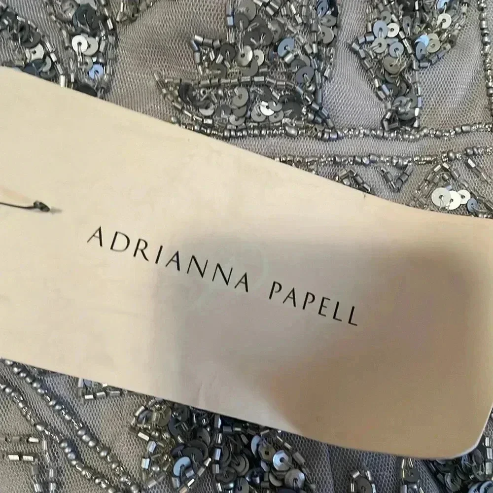 Dresses | Adrianna Papell Size 16 Silver Floor Length Gown | Poshmark